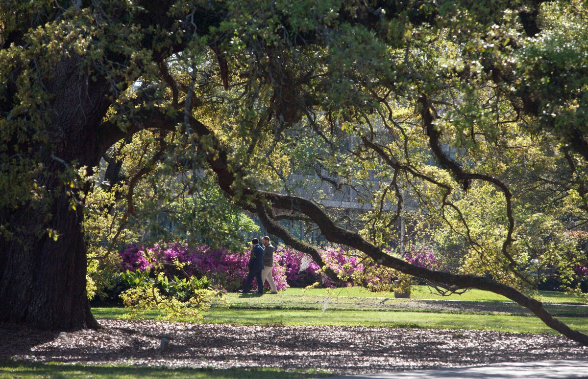 Giving Back – Magazine